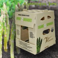 China Eco-Friendly Fruit Corrugated Boxes for Sustainable Packaging for sale