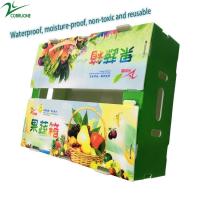 China Customized Polypropylene Corrugated Fruit and Asparagus Box 500x270x270mm 13.6kg Capacity for sale
