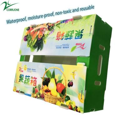 China Customized Polypropylene Corrugated Fruit and Asparagus Box 500x270x270mm 13.6kg Capacity for sale