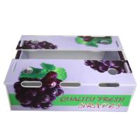 China Corrugated Plastic Boxes 4mm Flat Surface UV Coating Reusable Correx Sheets for Fruit Packaging for sale