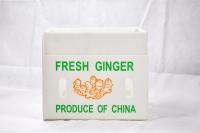 China Customizable PP Corrugated Plastic Corn Box 500x270x270mm 13.6kg Capacity Reusable Fruit Packaging for sale