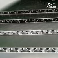 China PP Plastic Honeycomb Board 3mm-11mm Purple 4x8 Honeycomb Panels for Industrial Use for sale