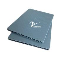 China PP Plastic Honeycomb Board 3mm-11mm Purple 4x8 Honeycomb Panels for Industrial Use for sale