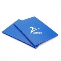 China PP Honeycomb Panel 4mm 10mm Waterproof Polypropylene Sheet for Automotive Construction for sale