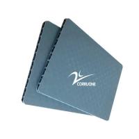China Blue Shockproof PP Honeycomb Sheet Polypropylene Honeycomb Panels for sale