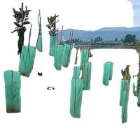 China Corruone China Hot Sale Waterproof PP Corrugated Plastic Tree Guards for sale