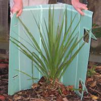 China Corruone wholesale high quality PP Plastic corrugated Tree Guard Plastic Tree Protector for sale