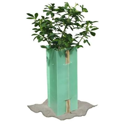 China Virgin PP Corrugated Tree Protectors 2mm-12mm Thickness Customized for sale
