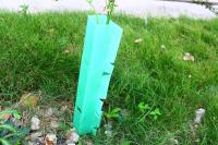 China Virgin PP Corrugated Tree Protectors 2mm-12mm Thickness Customized for sale
