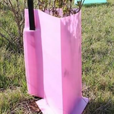 China Pink Corrugated Plastic Tree Wrap Waterproof Corflute Tree Guard for sale