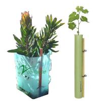 China Corruone PP Corrugated Plastic Sheet 4mm Tree Guard Custom Size Eco-Friendly for sale
