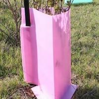 China Corruone PP Corrugated Plastic Sheet 4mm Tree Guard Custom Size Eco-Friendly for sale