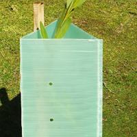 China Corruone PP Corrugated Plastic Sheet 4mm Tree Guard Custom Size Eco-Friendly for sale