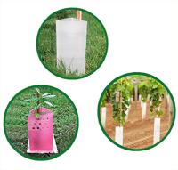 China Corruone PP Corrugated Plastic Sheet 4mm Tree Guard Roll Custom Size Eco-Friendly for sale