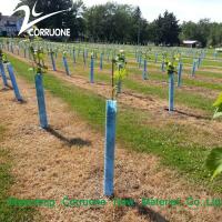 China UV Resistant PP Corrugated Plastic Tree Guard 2mm 2440x1220mm Custom Size for sale