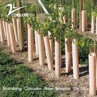 China UV Resistant PP Corrugated Plastic Tree Guard 2mm 2440x1220mm Custom Size for sale