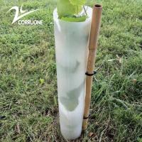 China Customizable Recyclable Corrugated Plastic Tree Tube 230gsm 600gsm UV Resistant for sale