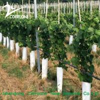 China Customizable Recyclable Corrugated Plastic Tree Tube 230gsm 600gsm UV Resistant for sale