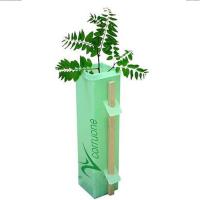 China Corflute Plantra Tree Protectors PP Corrugated Tree Guard Tubes for sale