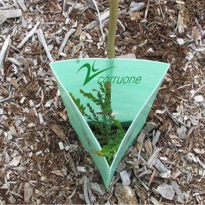 China Flat Surface Corrugated Plastic Tree Guard in Customized Colour for Plant Protection for sale