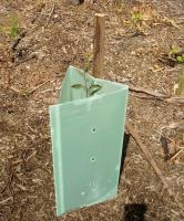 China Eco PP Corrugated Plastic Tree Guard Green Corflute Guards Waterproof for sale