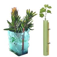 China UV Treated Corrugated Tree Guards 3mm PP Corflute Plant Guards for sale