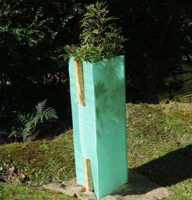 China Anti Uv Corrugated Plastic Tree Guard 2mm Thickness for sale