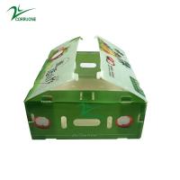 China Lightweight Coroplast Board 2mm Thick 24x36 Inch Twin Wall Polypropylene Sheet for Signage and Packaging for sale