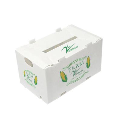 China Corruone Chemical Resistant Coroplast Box 4x8 Feet 20mm Custom Printing Box for Industrial Use for sale