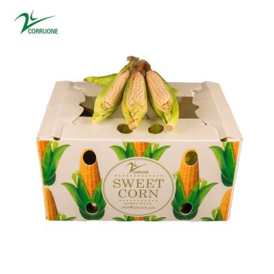 China Foldable  Hot Selling Product Eco Friendly Durable Protective Sheet Plastic vegetable and fruit box for sale