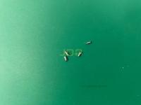 China Nozzle for Olympus GIF-Q260/CF-Q260 Gastroscope Colonoscope parts for sale