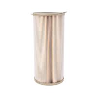 China C9952 Engine Fuel Filter  P552040 900FG FS1207 FS1294 FS20403 For R215VS R225LVS for sale