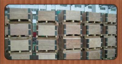 China 8011 / H14 Golden Coated Aluminium Sheet For Ropp Caps & Pilfer Proof Caps for sale
