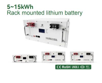 China Rack Mounted LiFePO4 Battery 51.2V 100Ah 300Ah Modular Energy Storage for Solar for sale