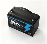 China LiFePO4 Battery Pack 12.8V 100Ah 1280Wh High Power High Capacity Drop-in Replacement for sale