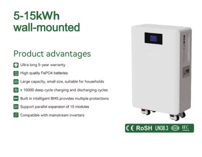 China 51.2V 5-15kWh Lithium Iron Phosphate Wall Mounted Energy Storage Battery System 100-300Ah for sale