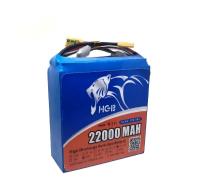 China Industrial Drone Battery Pack 12S 44.4V 22000mAh 20C LCO Lithium Rechargeable for sale