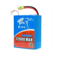 China Cold Resistant 12S 44.4V 12000mAh LCO Drone Battery 20C 532.8Wh for Survey UAV for sale