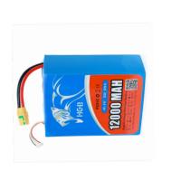 China Cold Resistant 12S 44.4V 12000mAh LCO Drone Battery 20C 532.8Wh for Survey UAV for sale