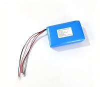China 18650 6S2P 22.2V 6000mAh Rechargeable Lithium-ion Battery Pack with BMS Protection Board,  5A Charge/Discharge for Portable Industrial Equipment for sale