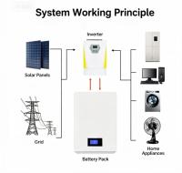 China Custom Wall-Mounted LiFePO4 Energy Storage Battery 5KWH 51.2V 102AH for Solar PV System Made in China for sale