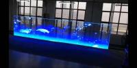 China P3.97-7.81 LED Video Wall Display Rental Transparent Full Color for sale