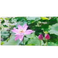 China WMSJ P4.81 Outdoor Full Color RGB LED Screen 3D Display Board 576x576mm Cabinet for sale
