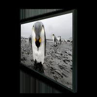 China IPS Multiscene High Brightness LED Display , Durable Outdoor Video Display Boards for sale