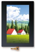 China 10.1 Inch Medical TFT LCD Display 800×1280 Resolution 300cd/m² Luminance with MIPI Interface for sale