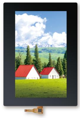 China 10.1 Inch Medical TFT LCD Display 800×1280 Resolution 300cd/m² Luminance with MIPI Interface for sale