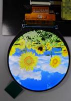China 2.1 Inch Round LCD Display 480x480 Resolution 350cd/m² Brightness IPS TFT Module for sale
