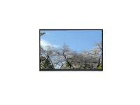 China 9.0 Inch IPS LCD Display 1280x720 Resolution 500-800cd/m² Brightness for Two-Wheelers and Industrial Equipment for sale