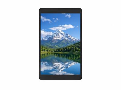 China 10.95 Inch IPS Medical TFT LCD Module 1200×1920 MIPI Display for sale