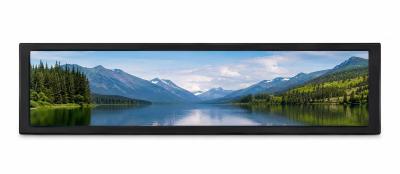 China 9.16 Inch IPS Bar Type TFT LCD Module 462×1920 MIPI Display for sale